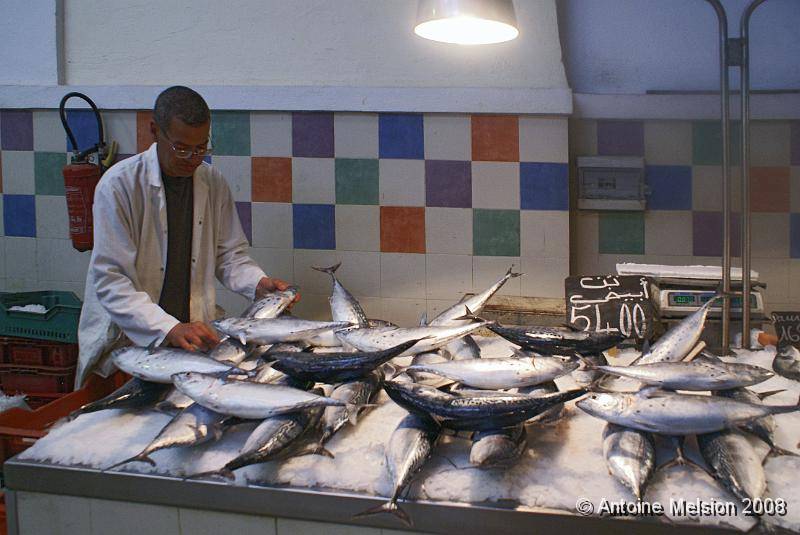 Le marché aux poissons